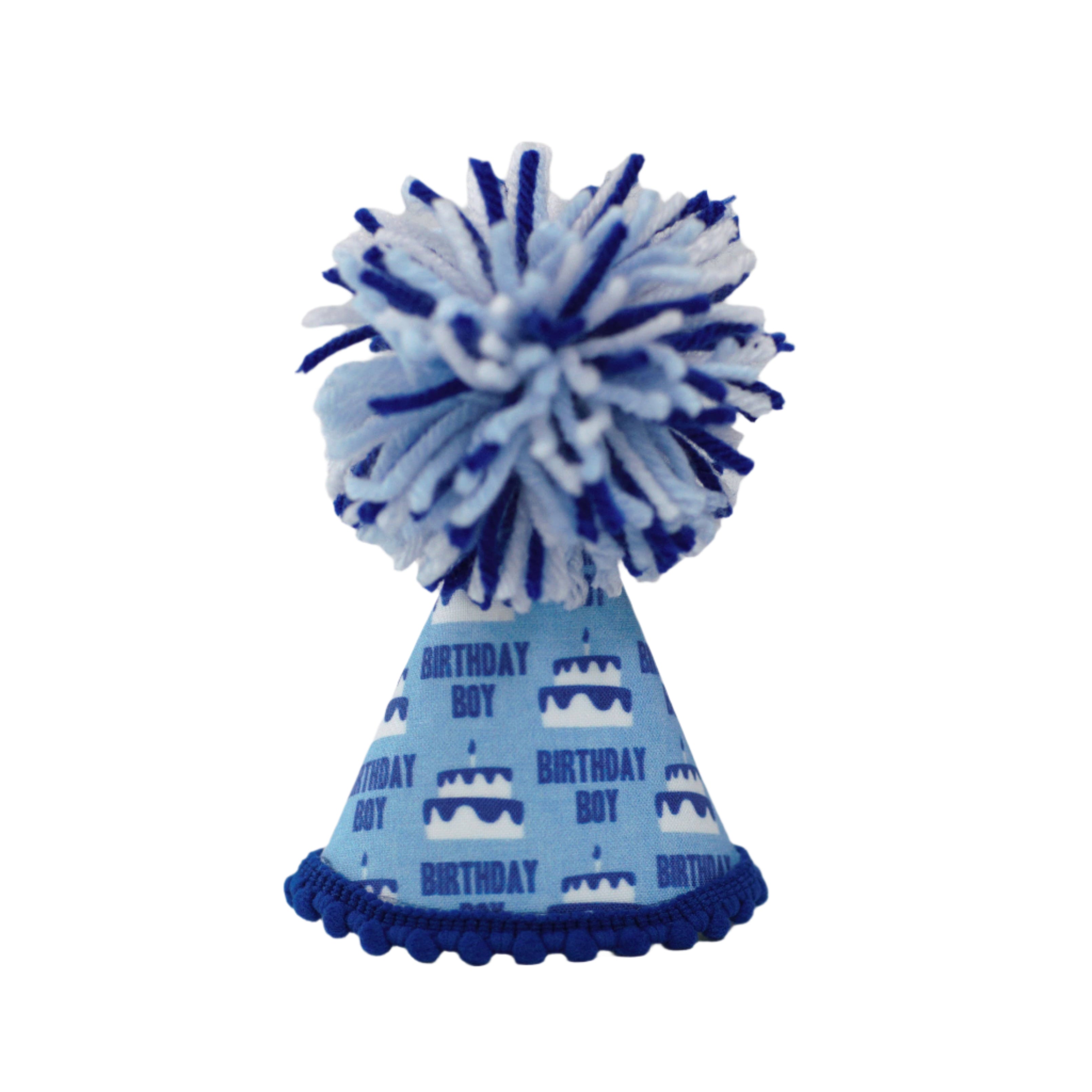 Pup Party Hats Birthday Boy Blue Party Hat: S – Pet Paradise - Harvard