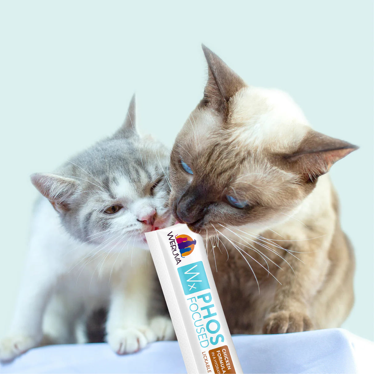 Weruva Wx Phos Focused Chicken Formula Lickable Cat Treats, .5 oz 5 Pa ...