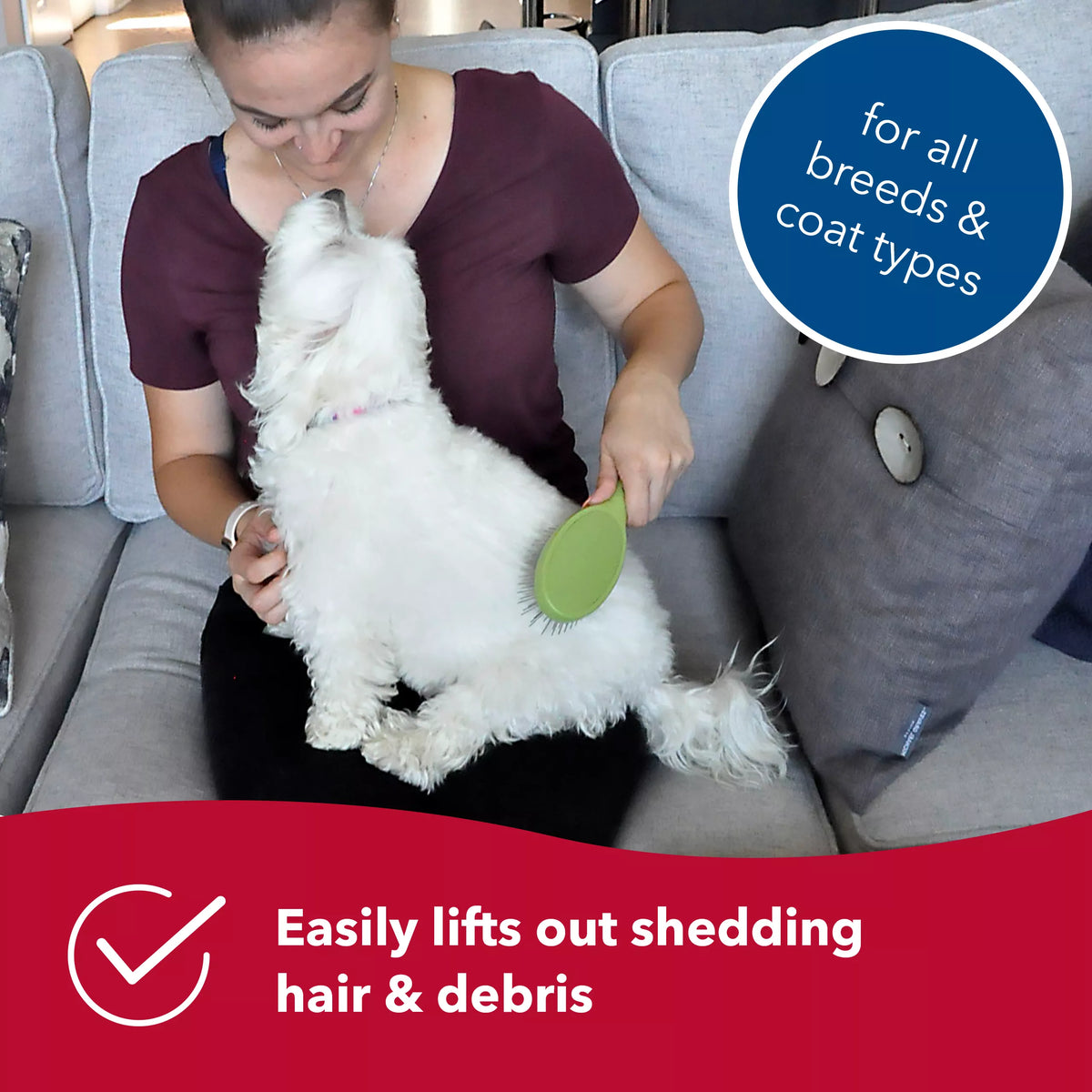 Safari Wire Pin Brush for Large Dogs – Pet Paradise - Harvard