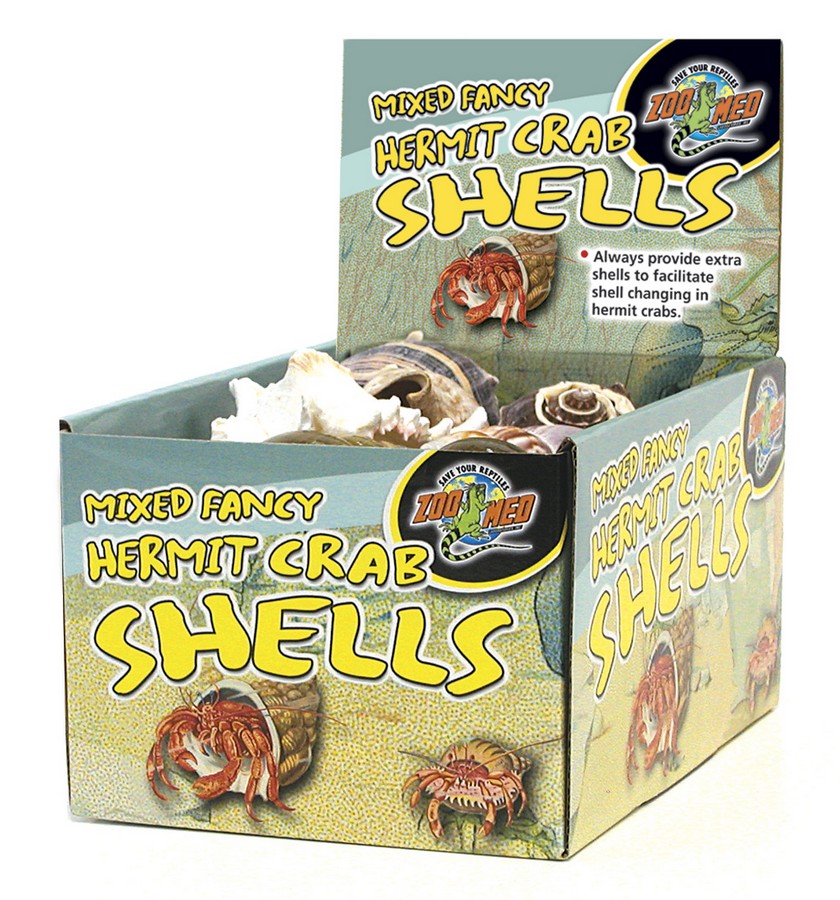 Zoo Med Mixed Fancy Hermit Crab Shells – Pet Paradise - Harvard