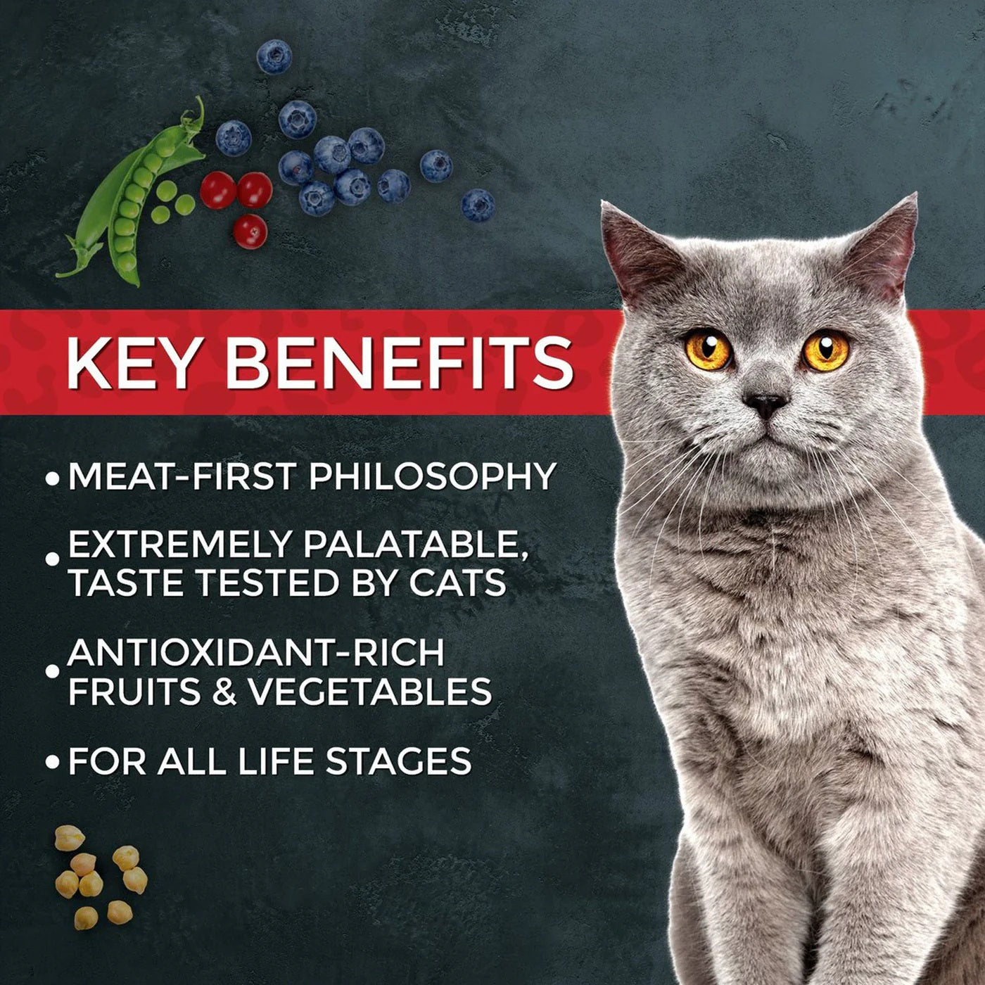 Fussie Cat Market Fresh Chicken & Turkey Recipe Dry Cat Food – Pet ...