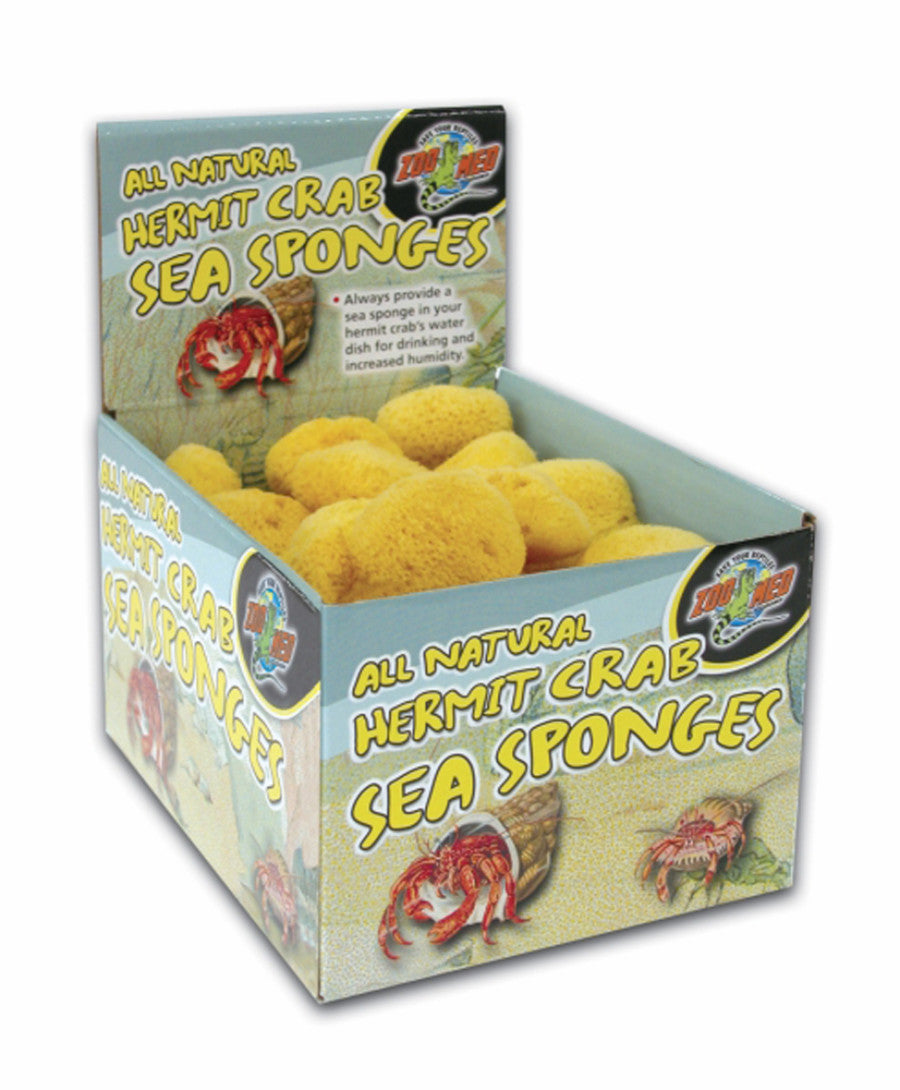 Zoo Med All-Natural Hermit Crab Sea Sponge, 1 Count – Pet Paradise ...