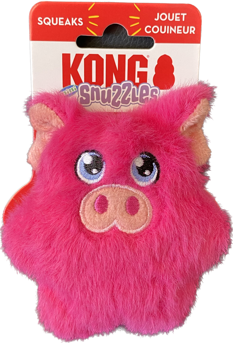 Kong Snuzzles Mini Pig Dog Toy – Pet Paradise - Harvard